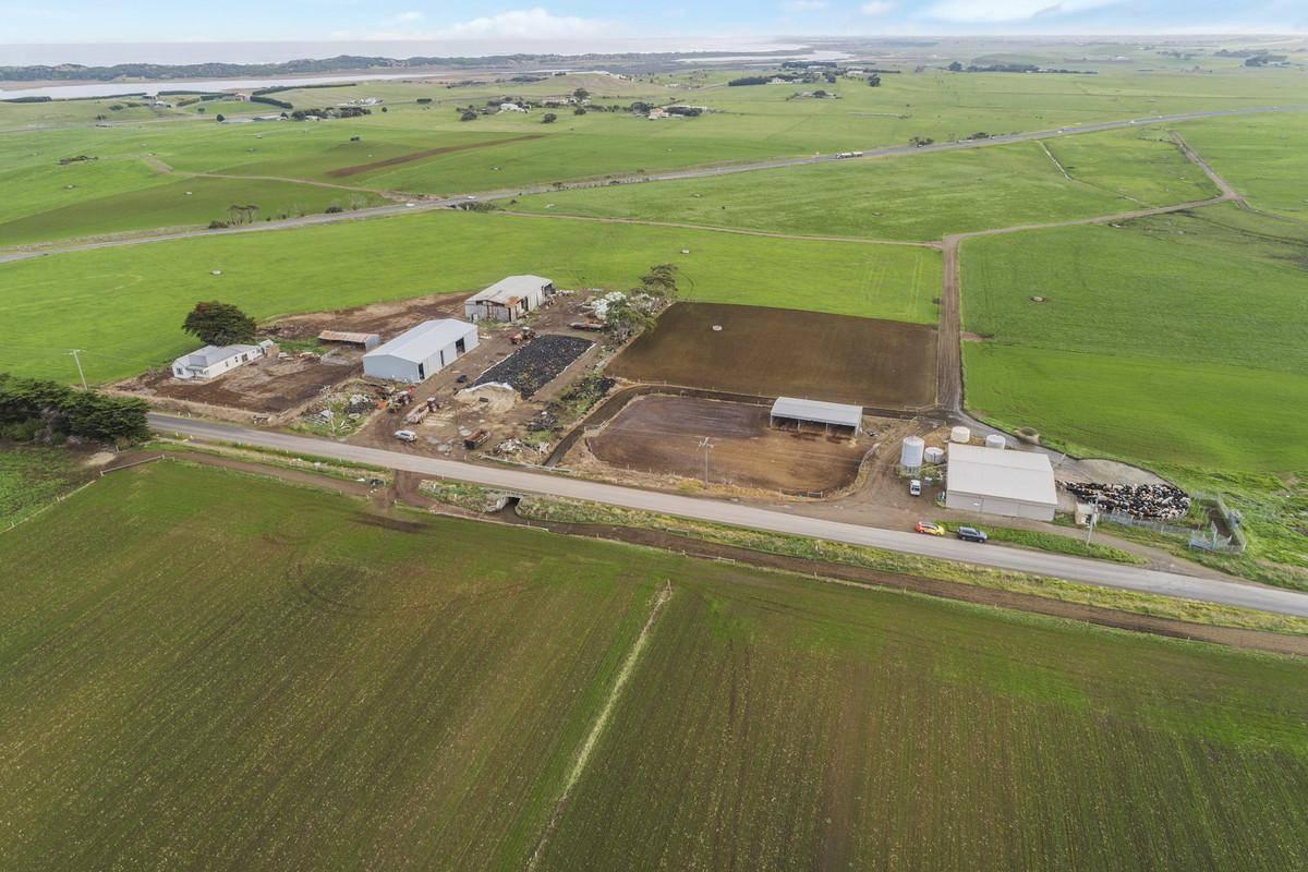 Dairy Farms For Sale VIC: Buying Opportunities In A Buoyant Market