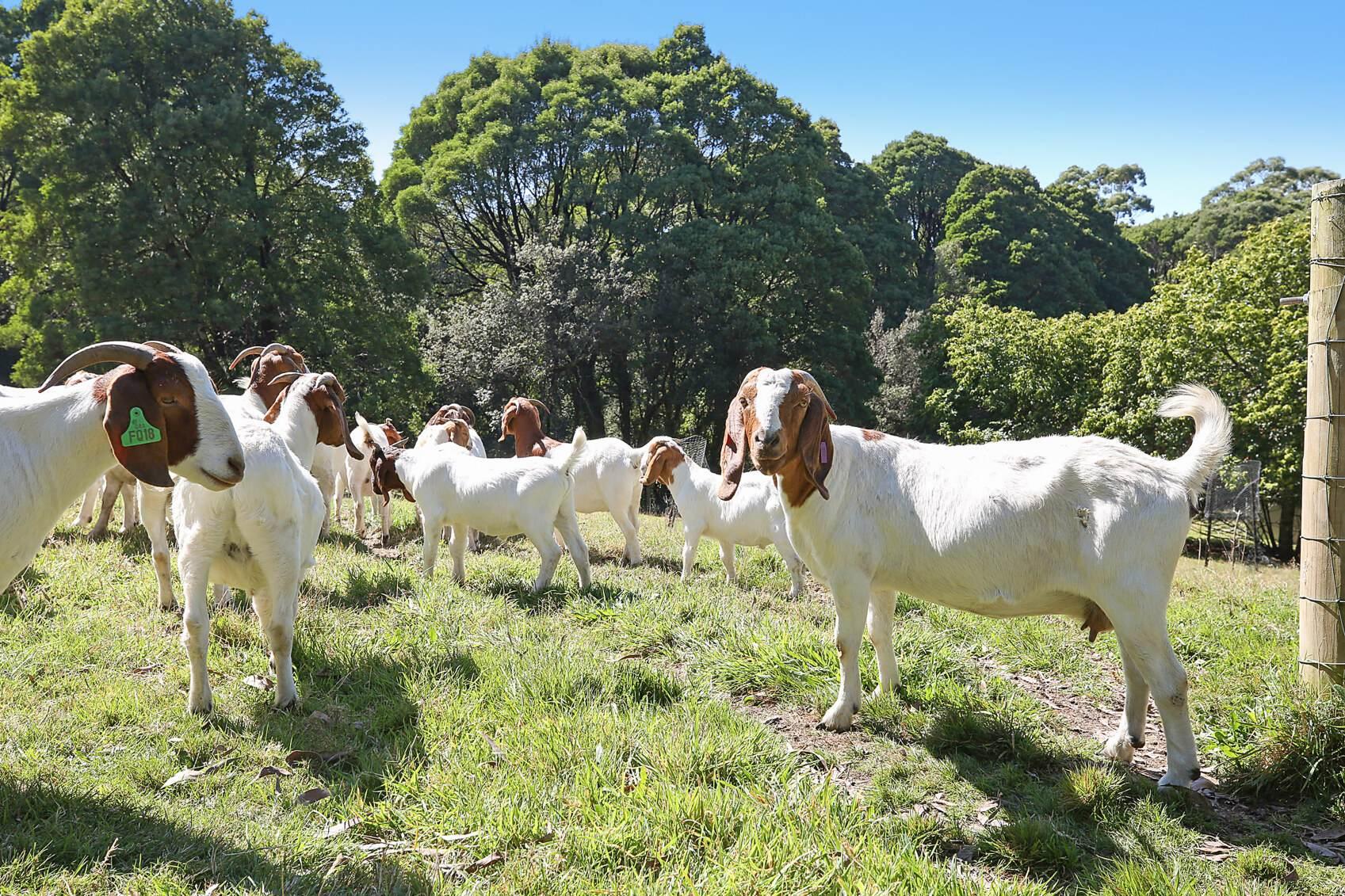 Living Off The Grid: Environmentally Sustainable Rural Properties For Sale