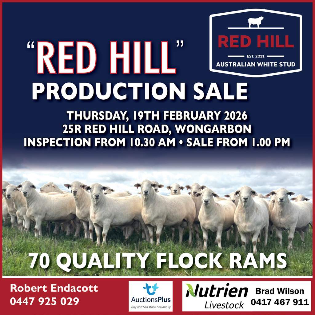 Red Hill Production Sale | Farmbuy.com