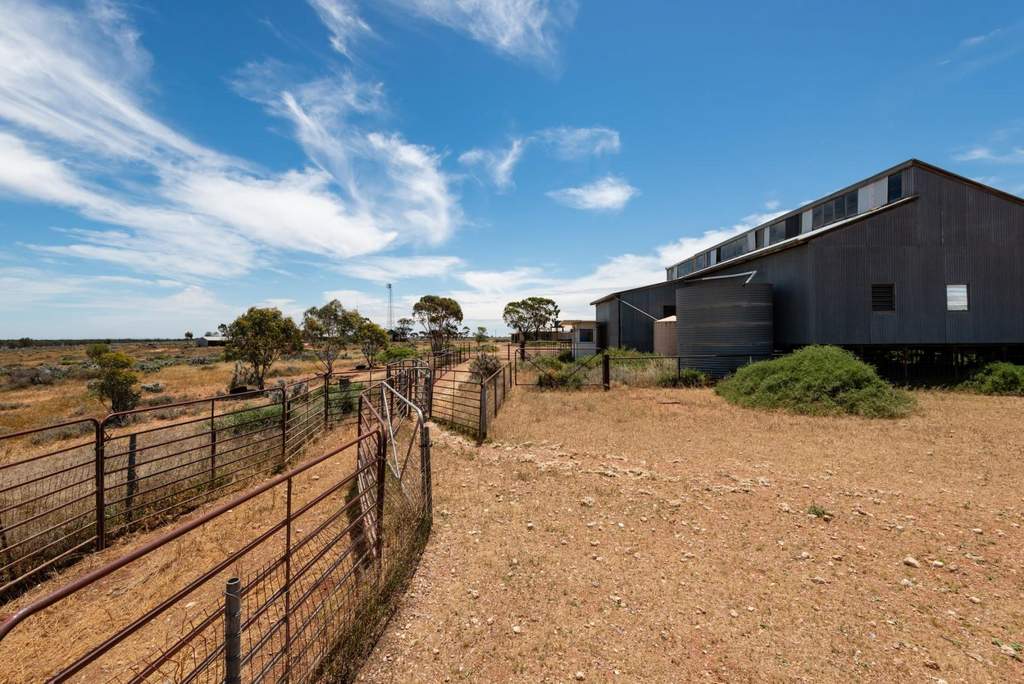 2543 Koomooloo Road, Old Koomooloo, Via Burra Or Morgan, SA 5417 ...