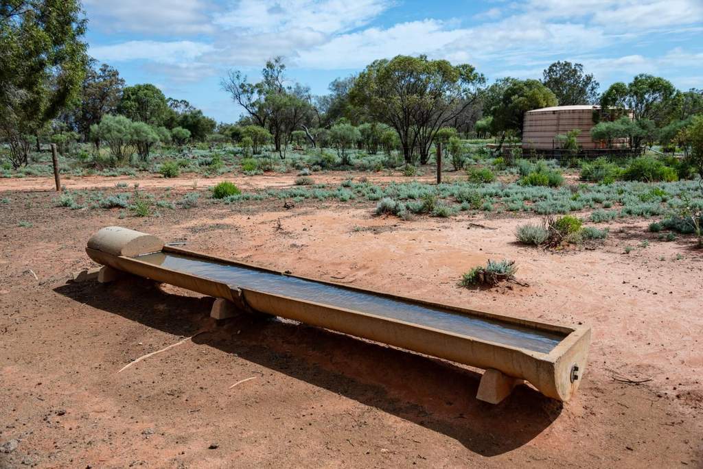 2543 Koomooloo Road, Old Koomooloo, Via Burra Or Morgan, SA 5417 ...