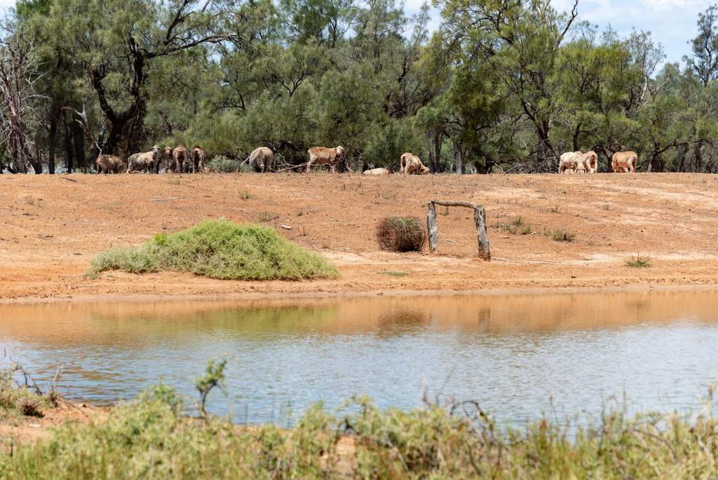 2543 Koomooloo Road, Old Koomooloo, Via Burra Or Morgan, SA 5417 ...