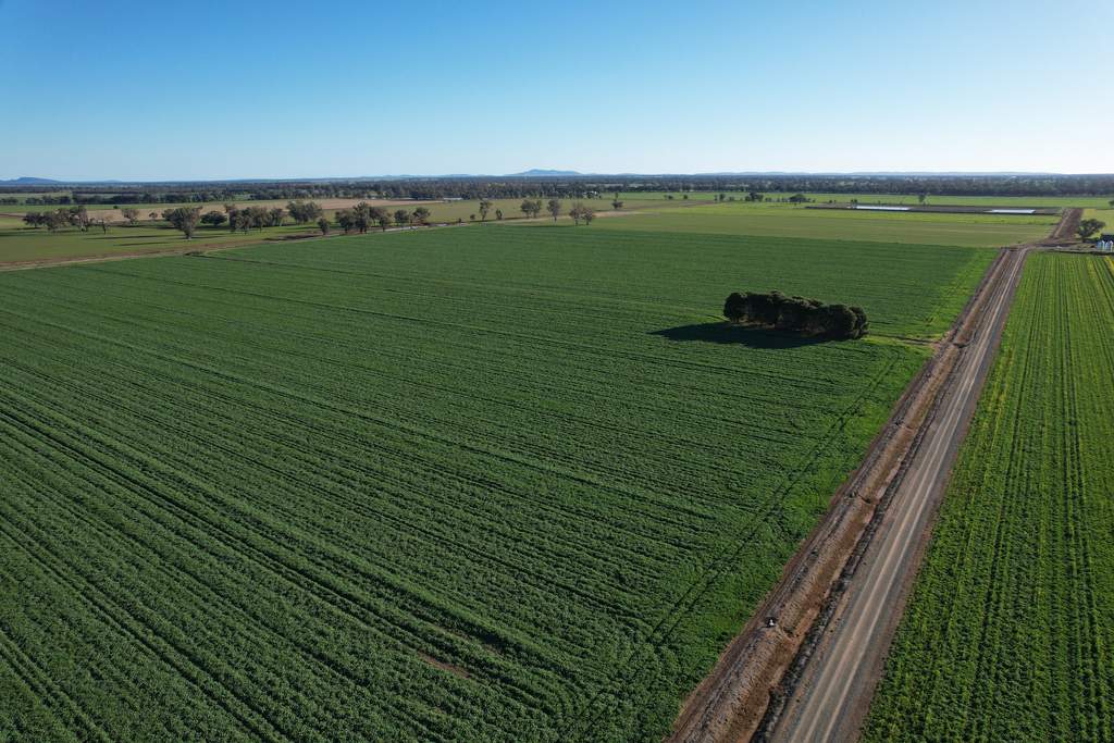 8065 Lachlan Valley Way, Forbes, NSW 2871 For Sale | Farmbuy.com