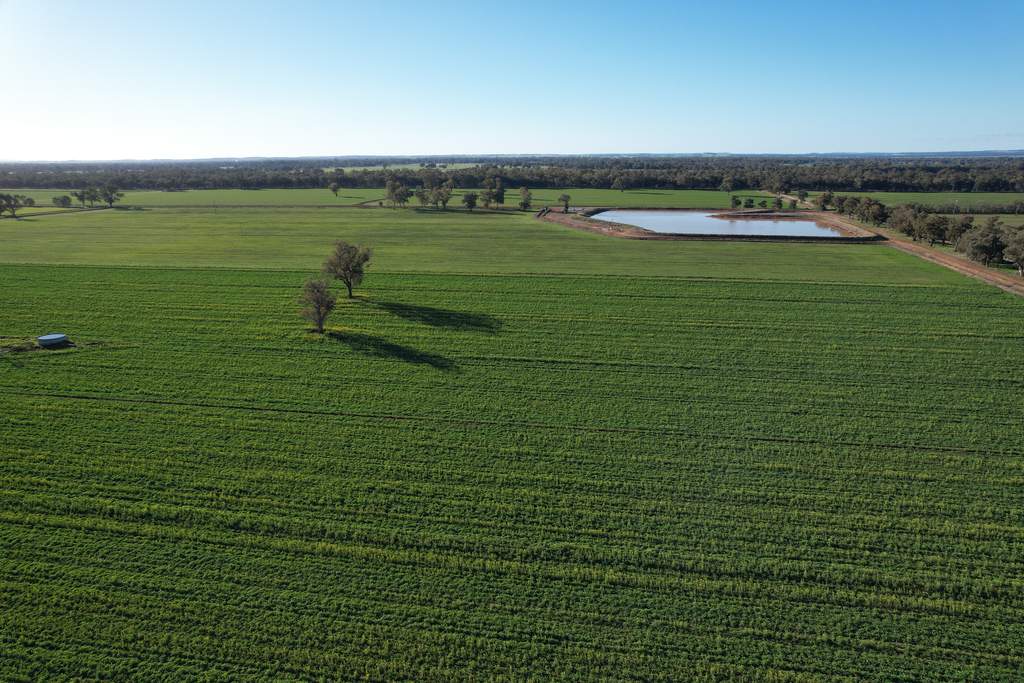 8065 Lachlan Valley Way, Forbes, NSW 2871 For Sale | Farmbuy.com