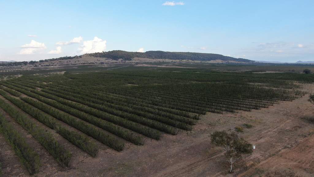 12605 Eidsvold Theodore Road, Camboon, QLD 4719 For Sale | Farmbuy.com