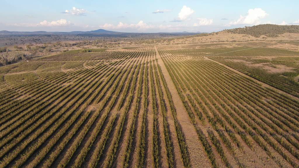 12605 Eidsvold Theodore Road, Camboon, QLD 4719 For Sale | Farmbuy.com