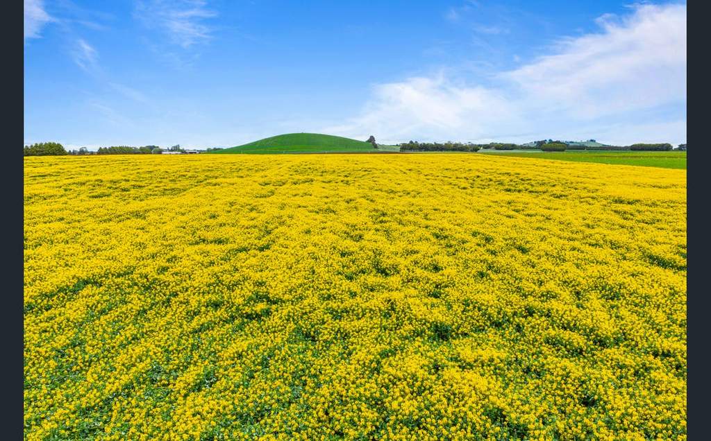 1712 Ballarat-Daylesford Road, Newlyn, VIC 3364 Sold | Farmbuy.com