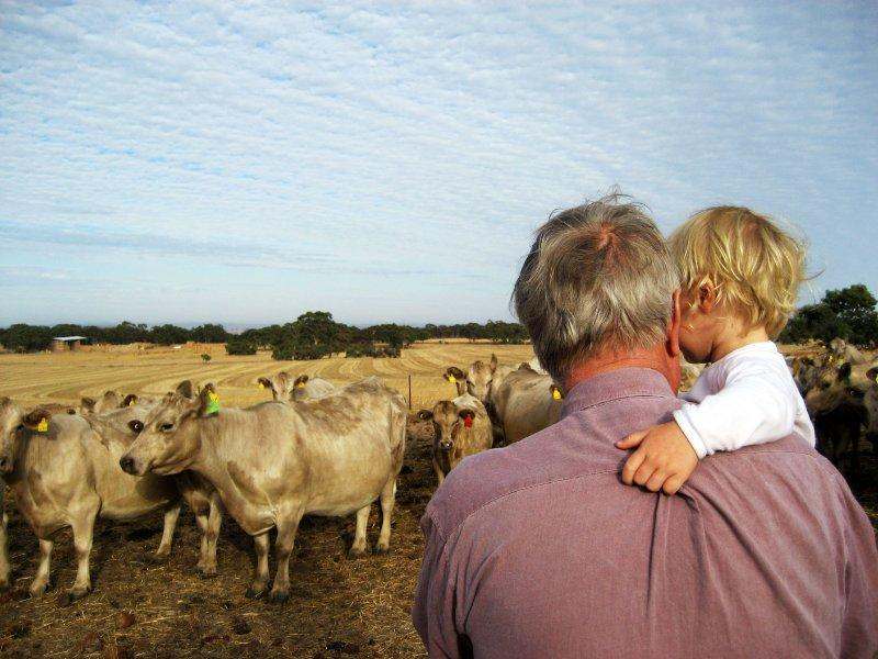 Alan Fairhead - Rural Sales Manager