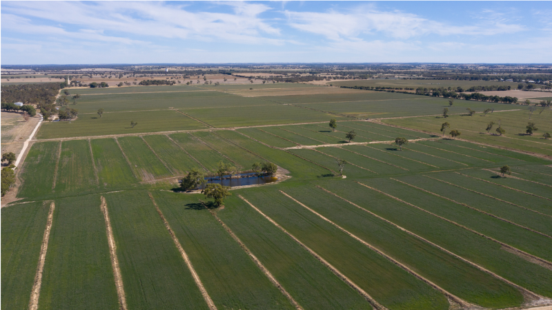 Greg Window - Real Estate Agent and Auctioneer