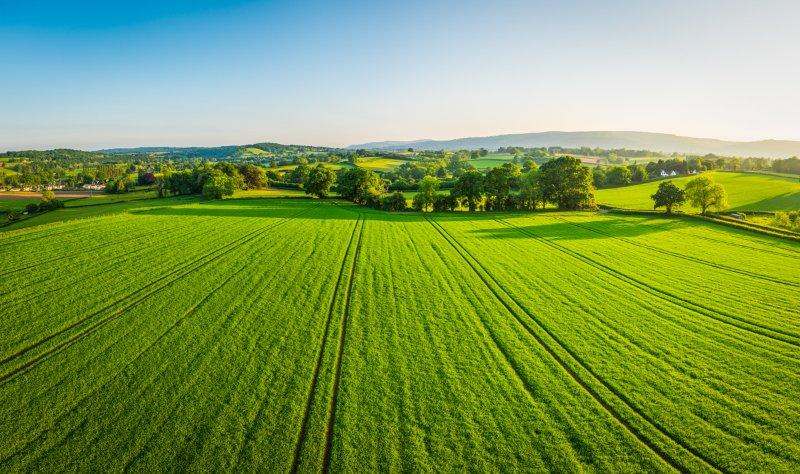 Peter Sagar - Senior Director