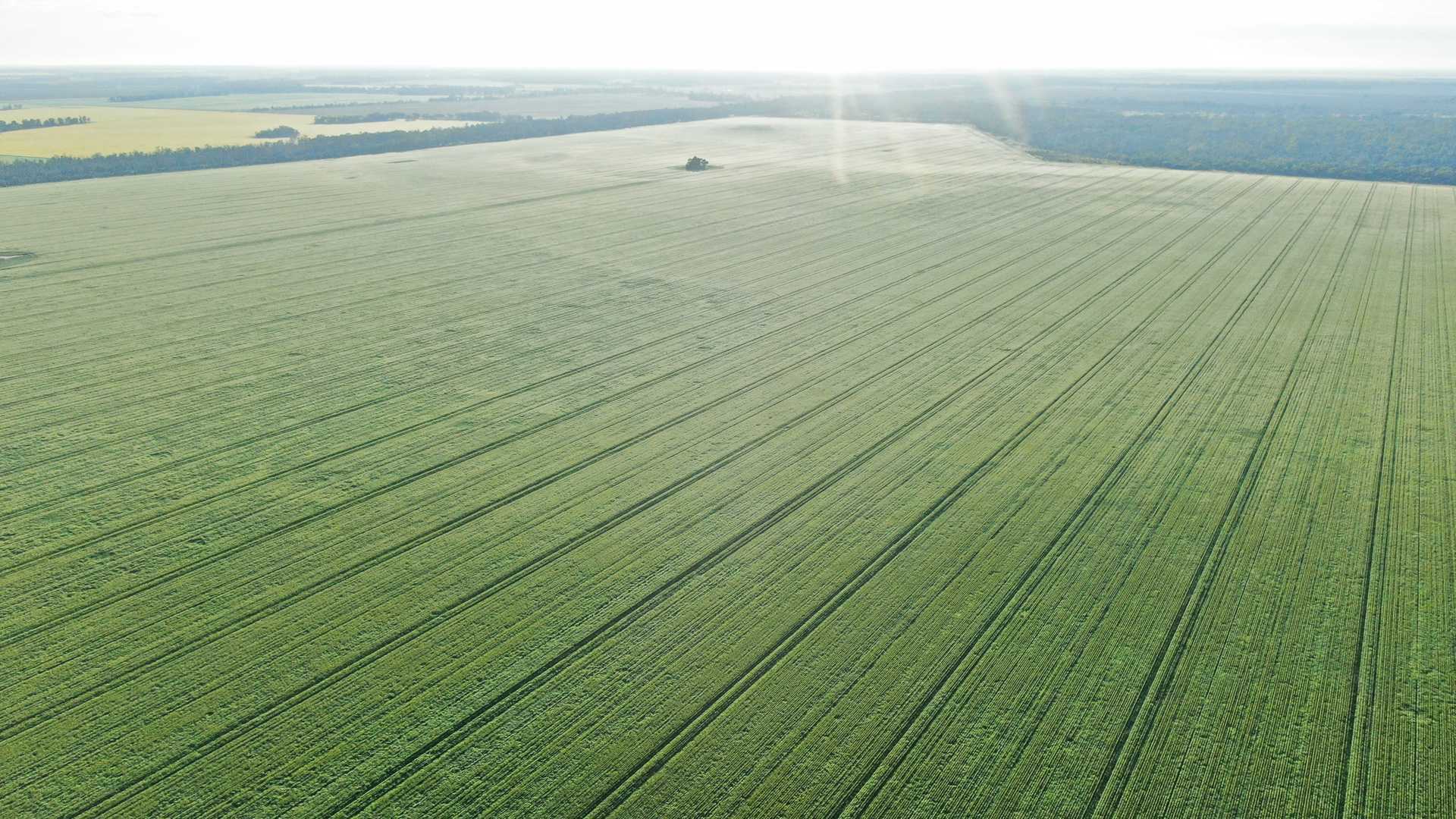 One of SE QLD’s Most Significant Mixed-Farming Enterprises For Sale