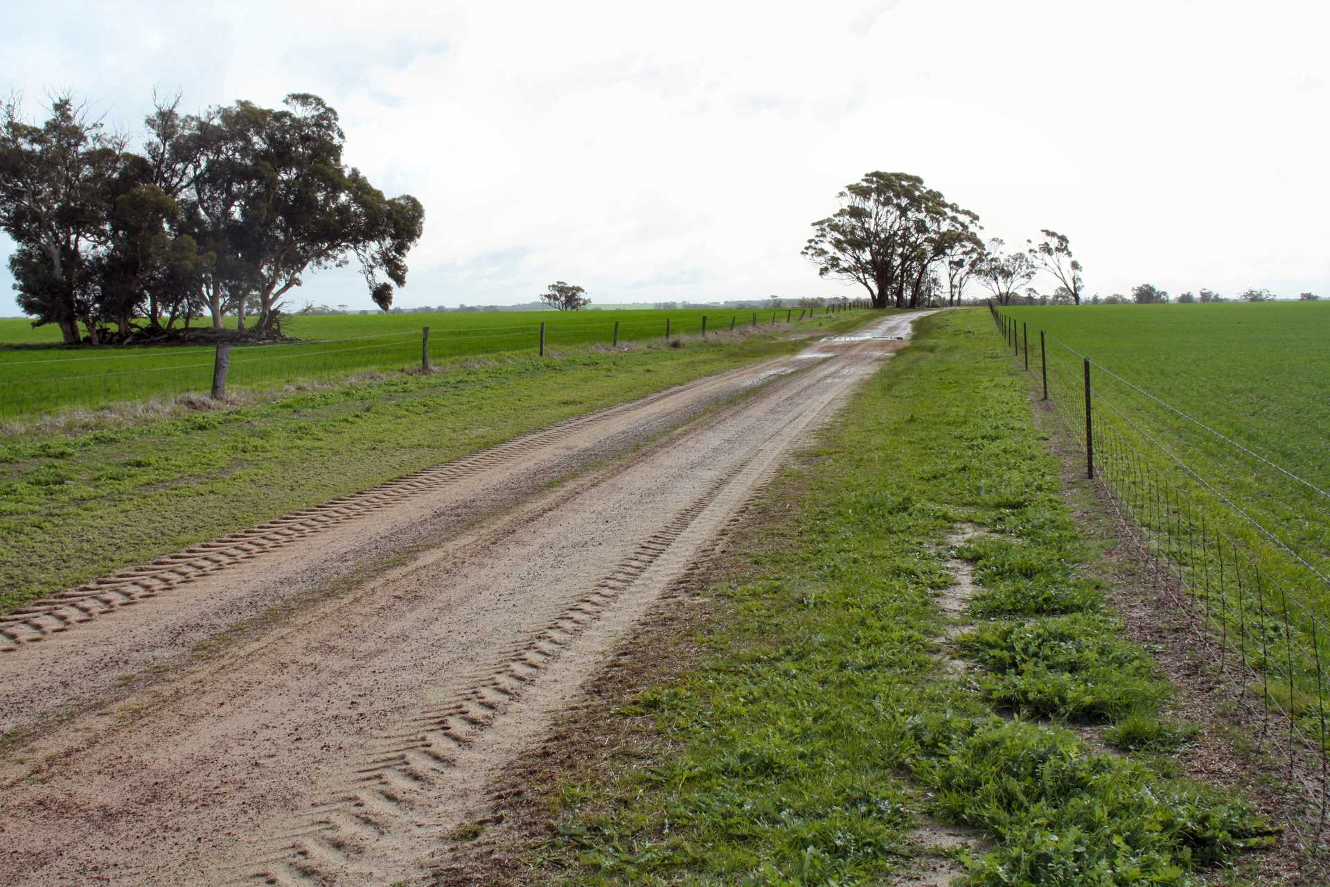 Lot 14 Calingiri-Goomalling Road , Calingiri, WA 6569 Sold | Farmbuy.com