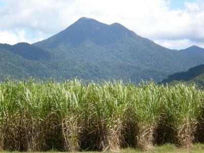 Moolboolaman QLD 4671 For Sale | Farmbuy.com