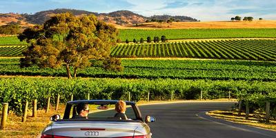 Valley Vista Hereford's bull sale success post Beef Week