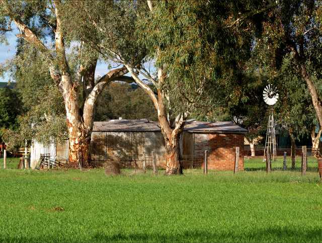 How to Start a Hobby Farm: A Beginner's Guide